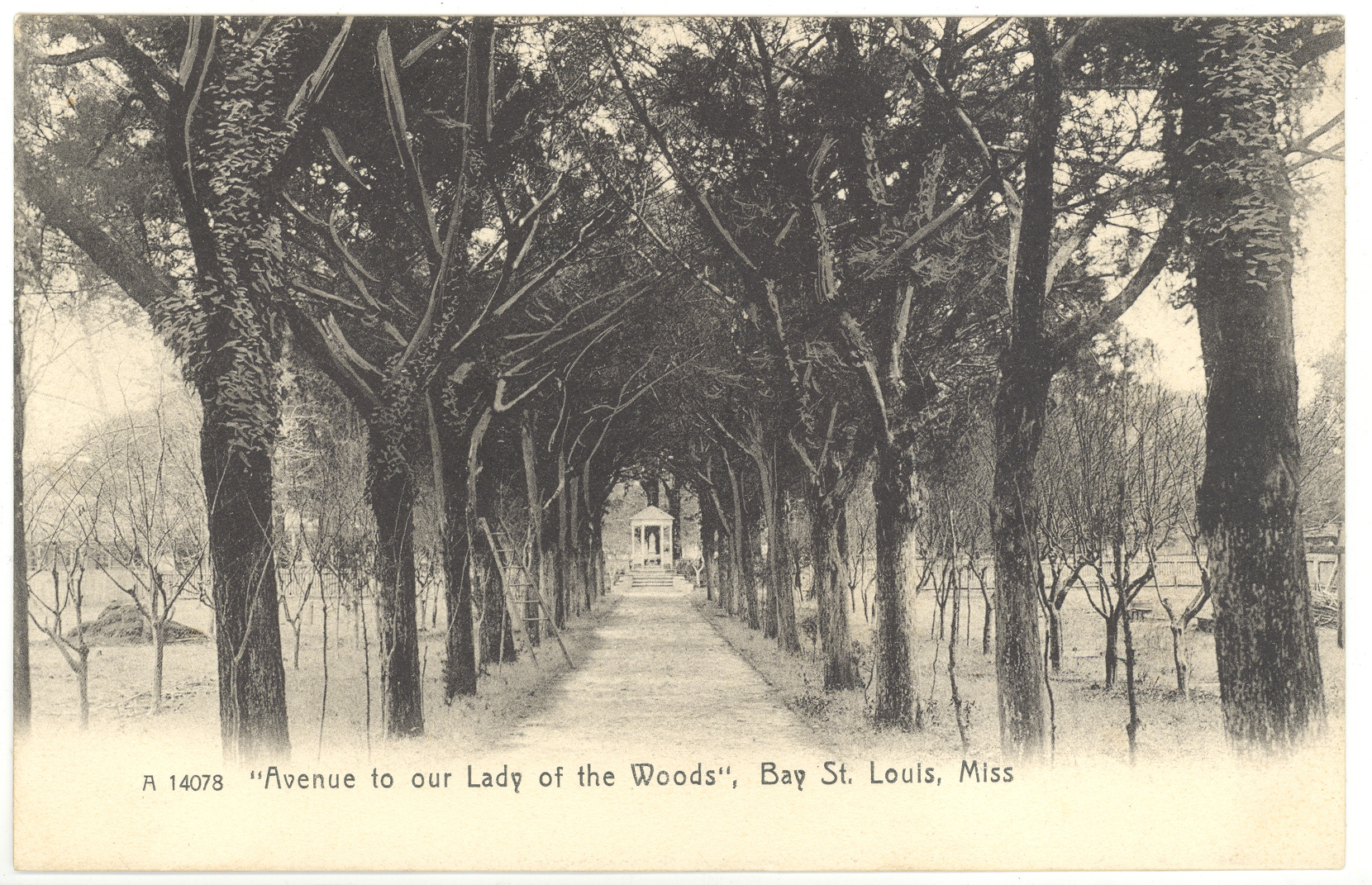 BeachS0228 Avenue to our Lady of the Woods (Jermyn) - Beach Boulevard ...